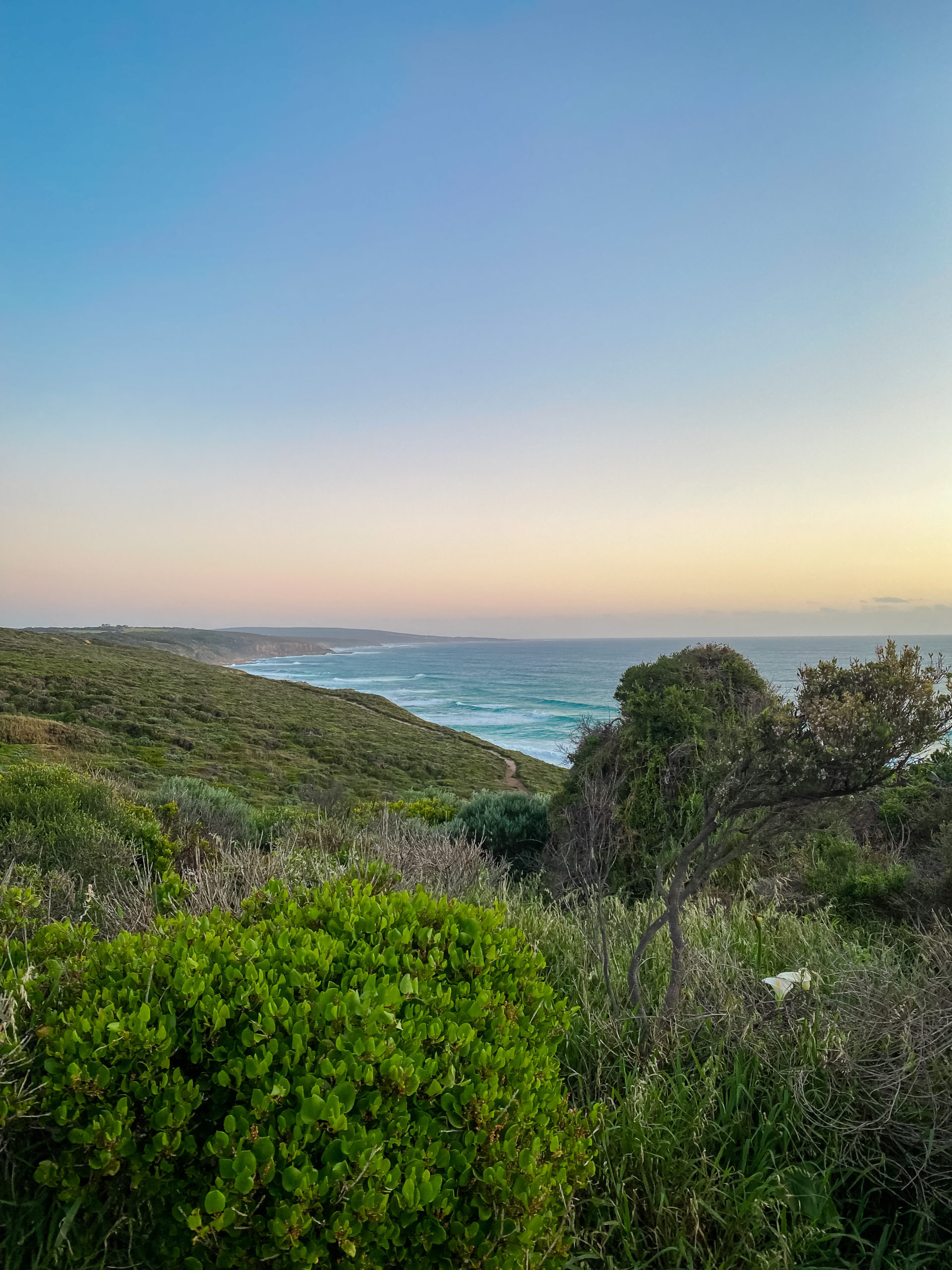 Cape to Cape – Everything you need to know – If you seek Amy