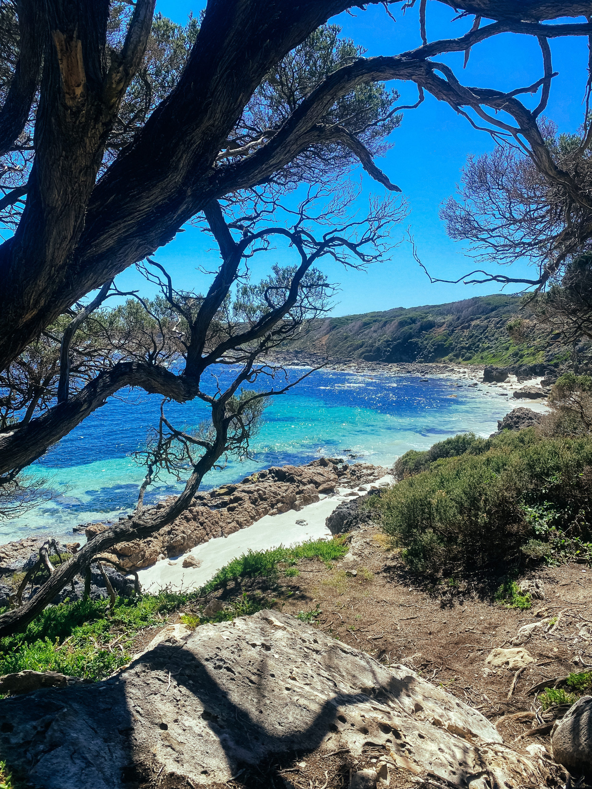 Cape to Cape – Everything you need to know – If you seek Amy